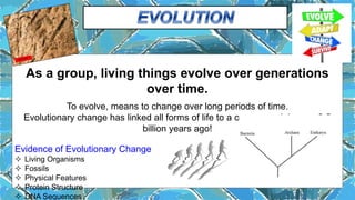 LT1.1 Characteristics of Life ppt | PPTX