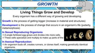 LT1.1 Characteristics of Life ppt | PPTX