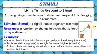 LT1.1 Characteristics of Life ppt | PPTX