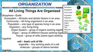 LT1.1 Characteristics of Life ppt | PPTX