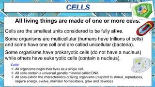 LT1.1 Characteristics of Life ppt | PPTX