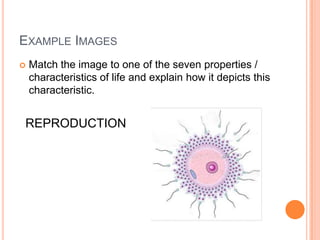 Characteristics of life r1 | PPT