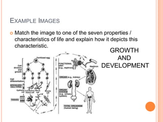 Characteristics of life r1 | PPTX