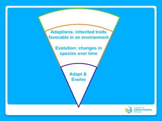 Characteristics of Life | PPT