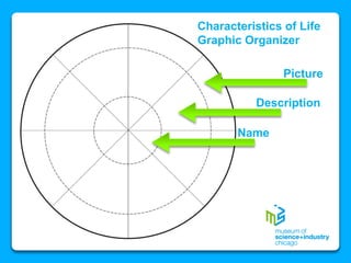 Characteristics of Life | PPT