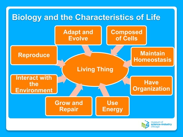 Characteristics of Life | PPT