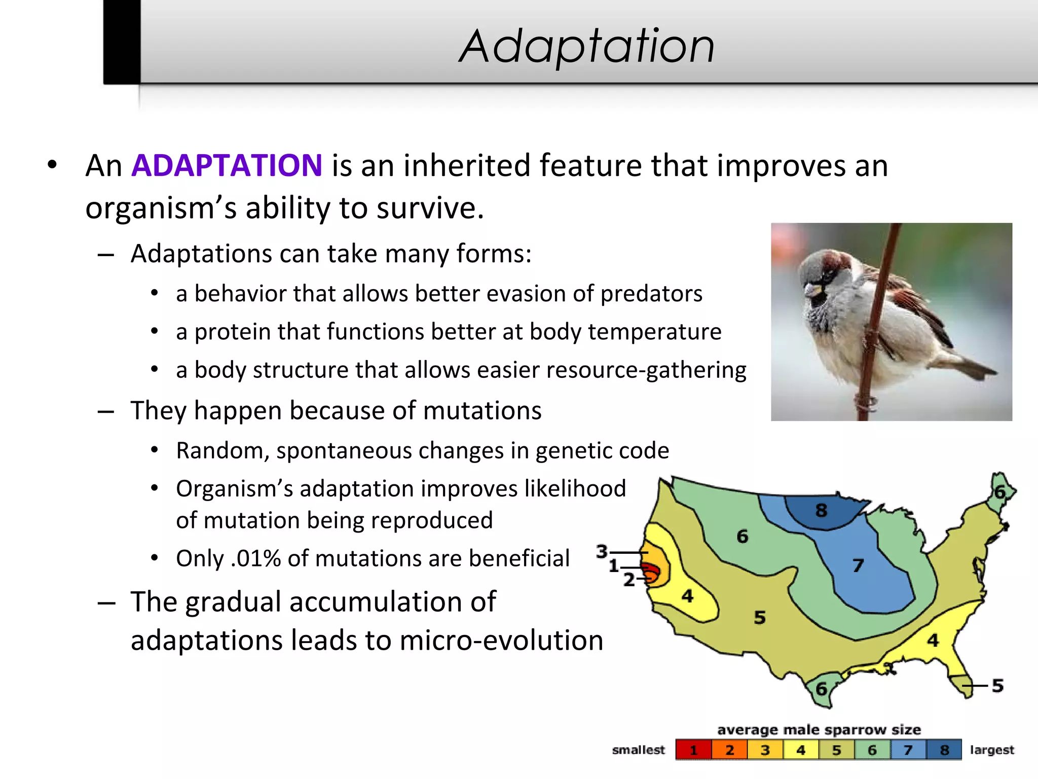 Characteristics of Life | PPT