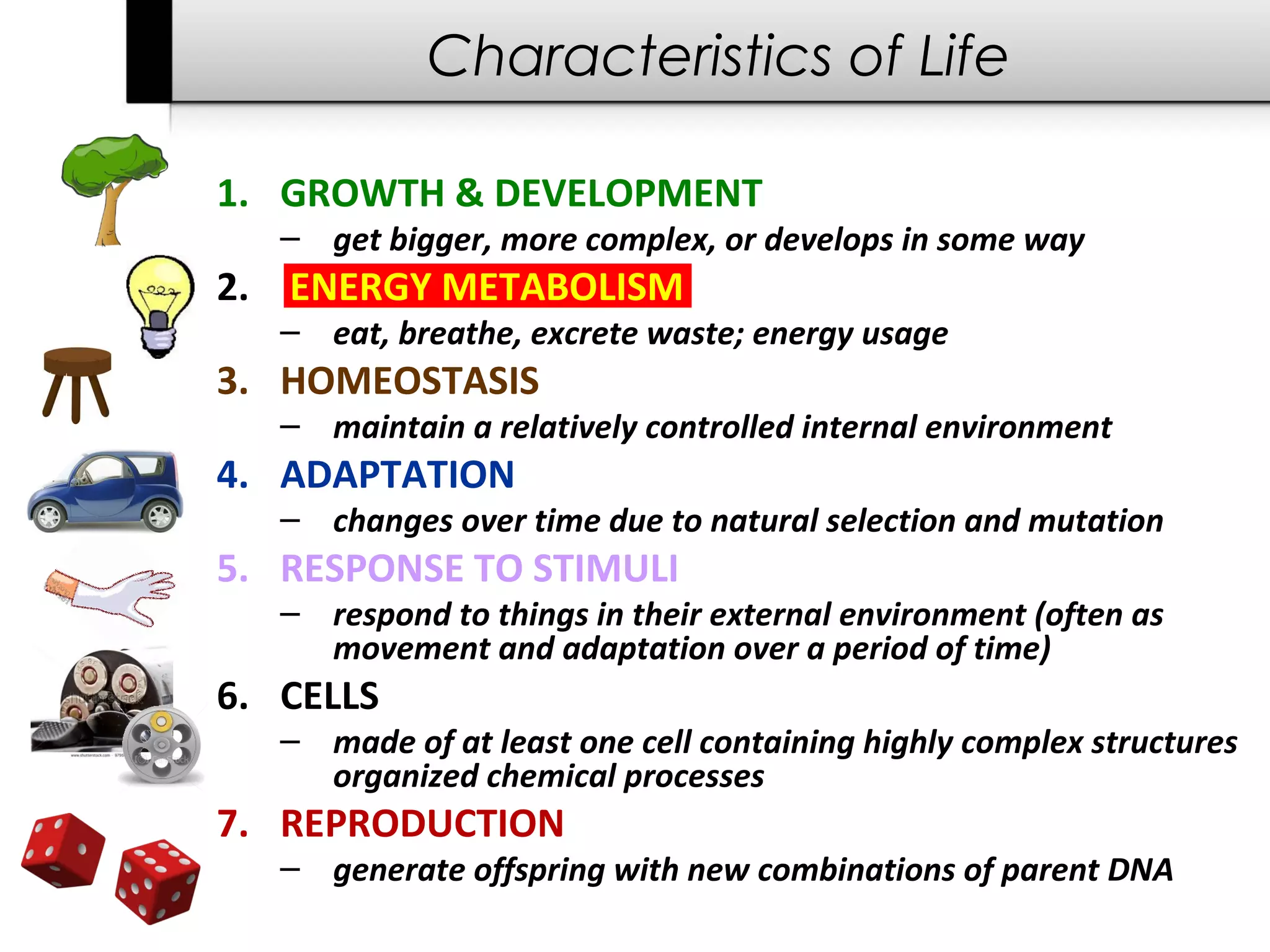 Characteristics of Life | PPT
