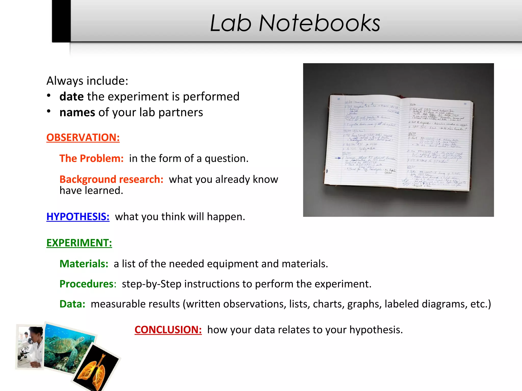 Characteristics of Life | PPT