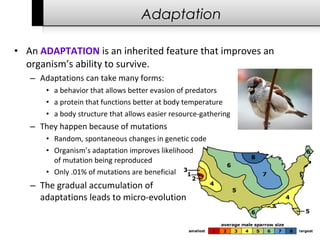 Characteristics of Life | PPT
