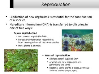 Characteristics of Life | PPT