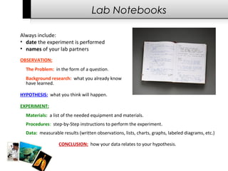 Characteristics of Life | PPT