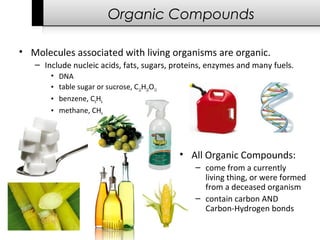 Characteristics of Life | PPT