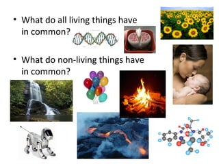 Characteristics of Life | PPT