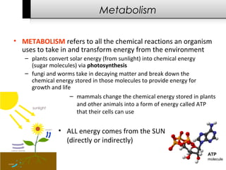 Characteristics of Life | PPT