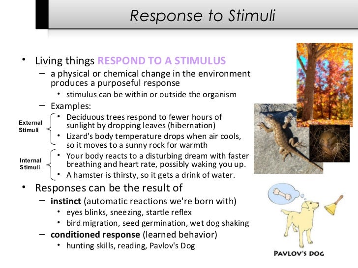 Characteristics of Life