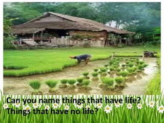CHARACTERISTIC S OF LIVING AND NON-LIVING THINGS SCIENCE Q2 W7.pptx