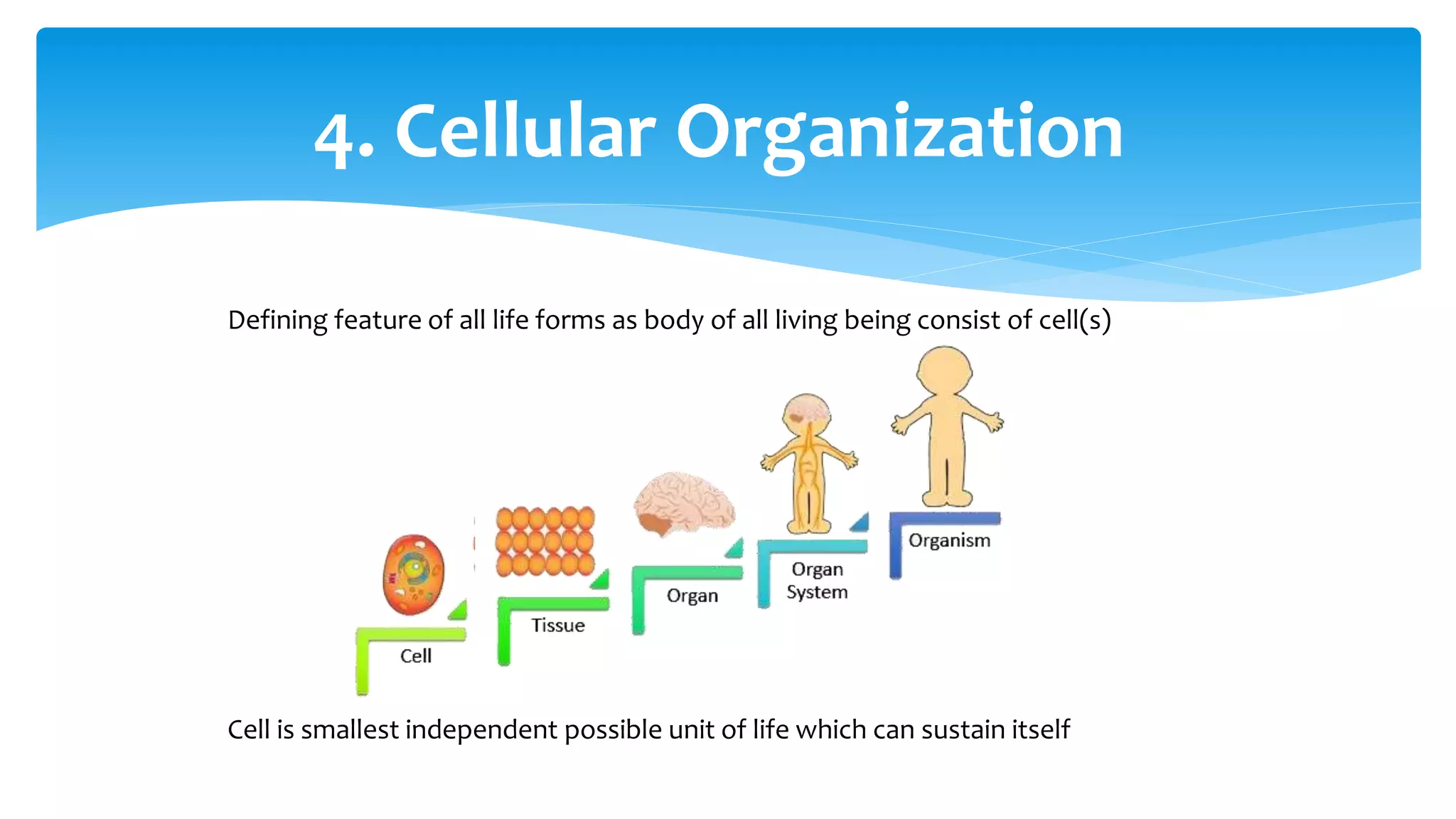 Characteristics of living organisms | PPTX