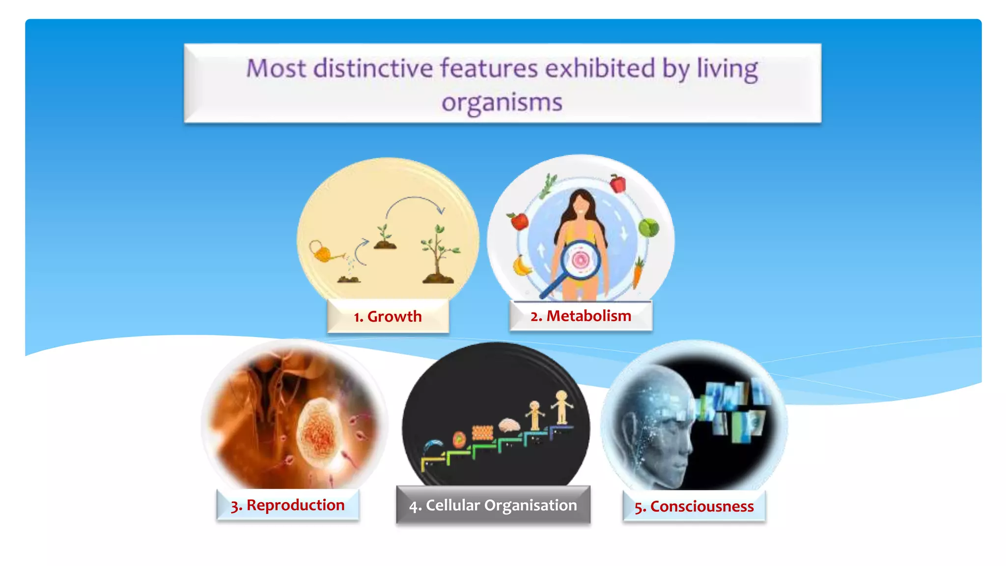 Characteristics of living organisms | PPTX