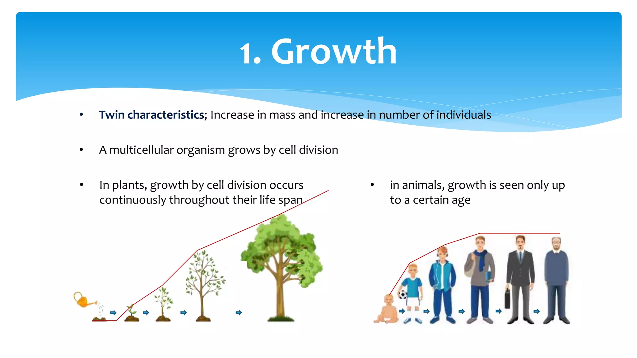 Characteristics of living organisms | PPTX