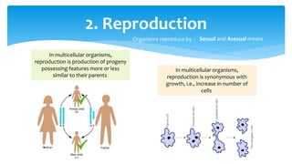 Characteristics of living organisms | PPTX