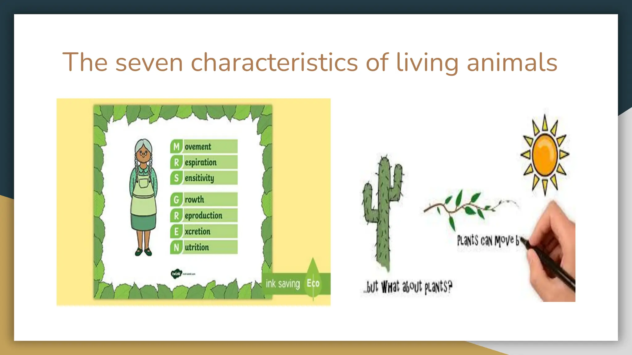 Characteristics of living organismss.pdf