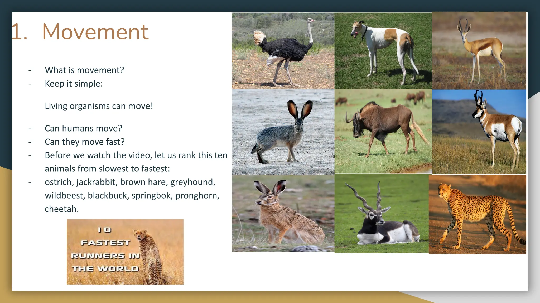 Characteristics of living organismss.pdf