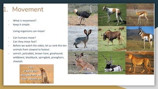 Characteristics of living organismss.pdf