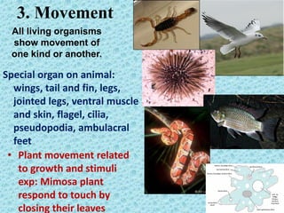 Characteristics of Living Thing.pdf