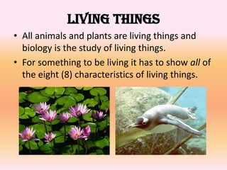Characteristics of Living Thing.pdf