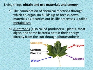 Characteristics of Living Thing.pdf
