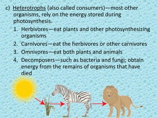 Characteristics of Living Thing.pdf
