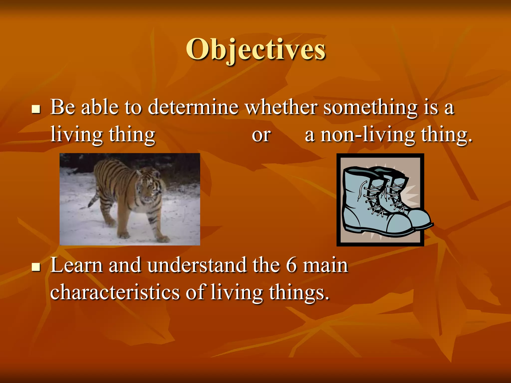 Characteristics Of Living Things | PPTX