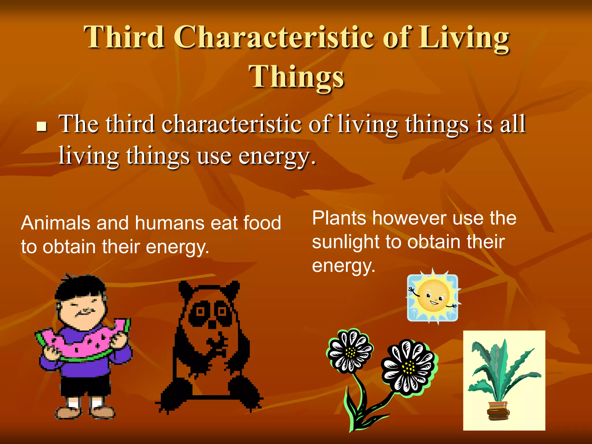Characteristics Of Living Things | PPTX