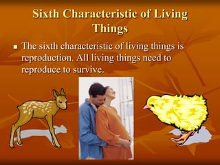 Characteristics Of Living Things | PPTX