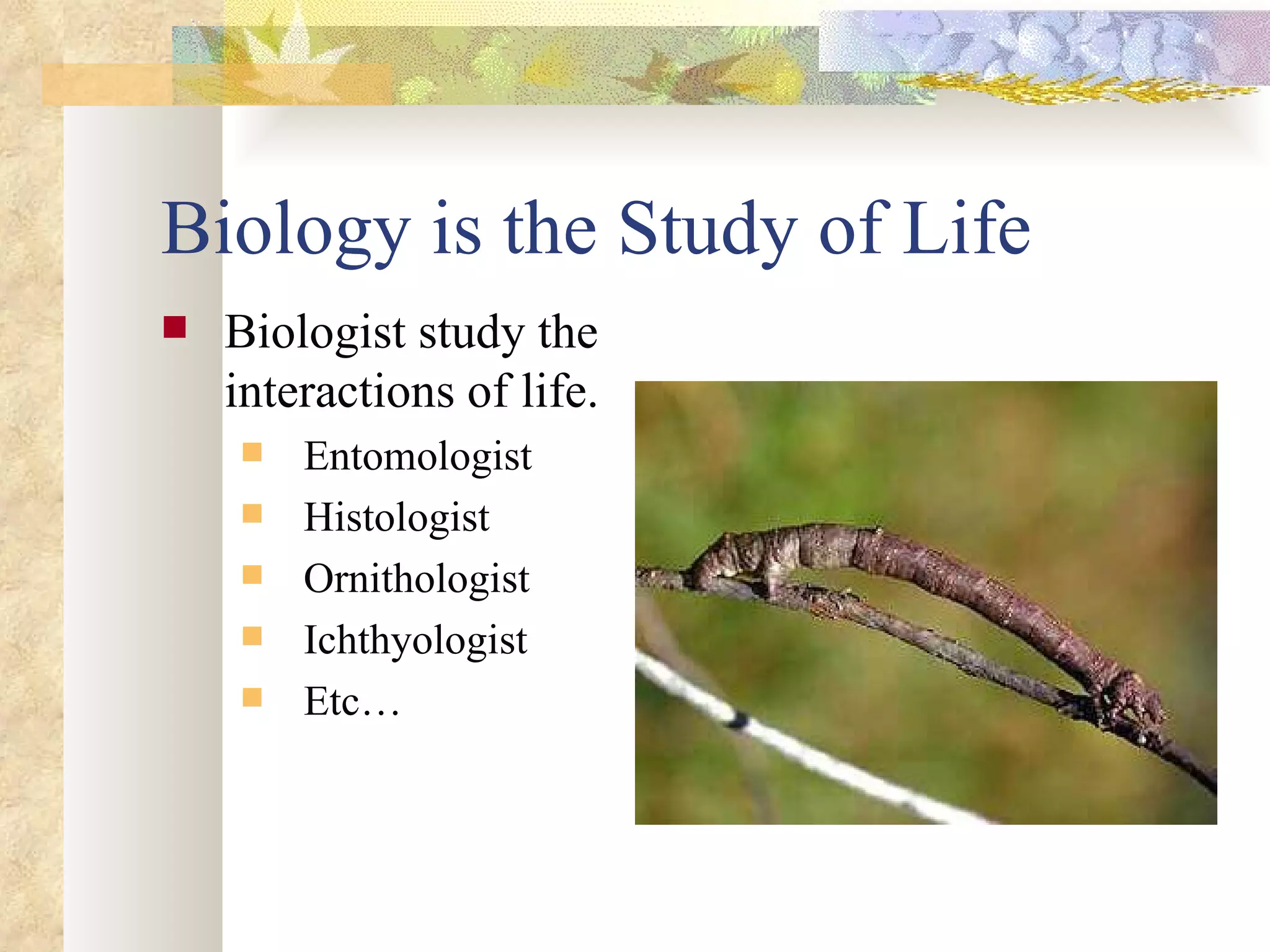 Characteristics Of Living Things | PPT