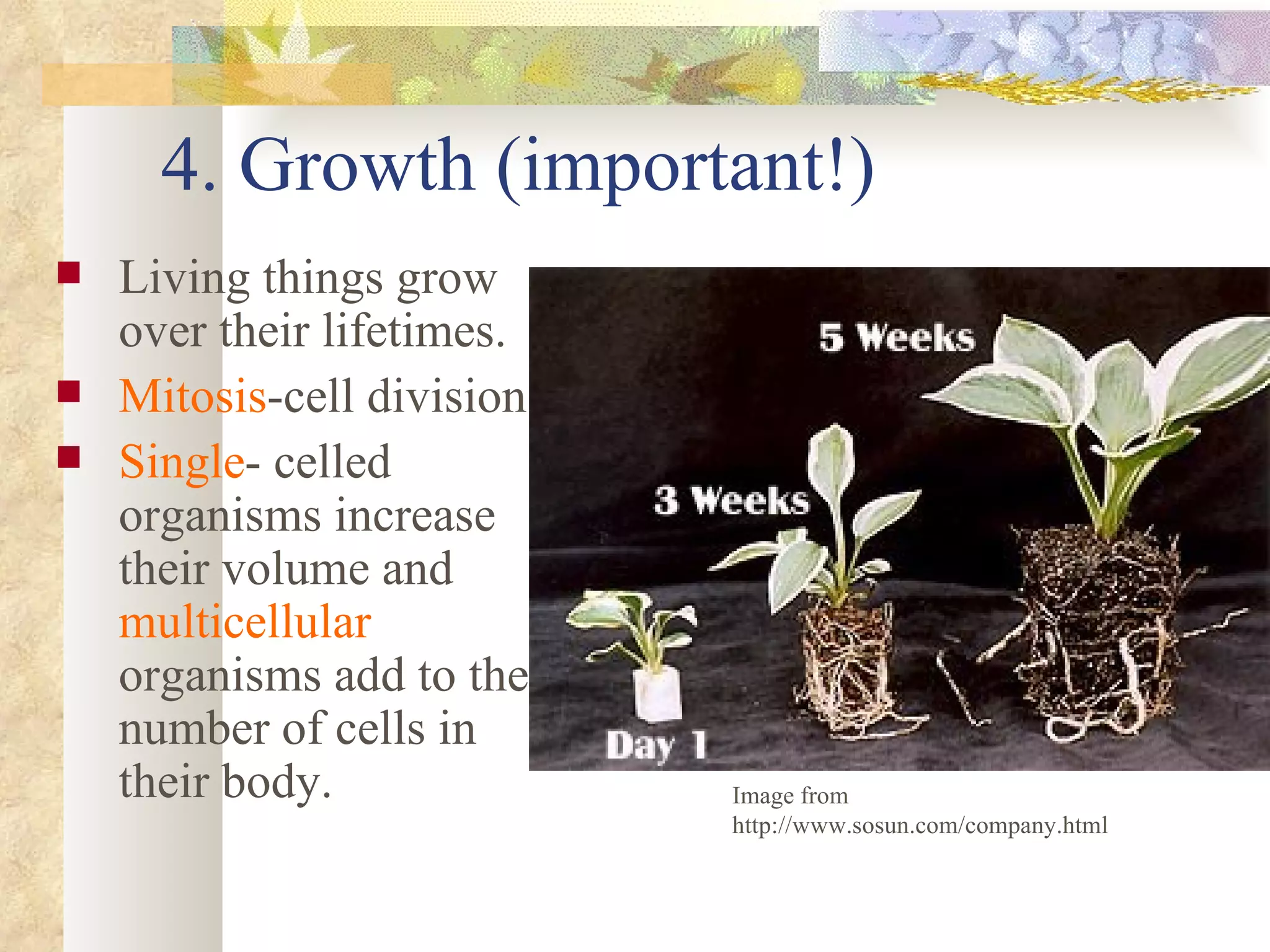 Characteristics Of Living Things | PPT