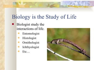 Characteristics Of Living Things | PPT