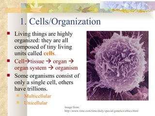 Characteristics Of Living Things | PPT