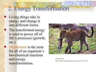 Characteristics Of Living Things | PPT