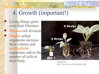 Characteristics Of Living Things | PPT