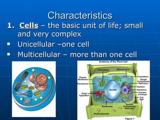 Characteristics of living things | PPT