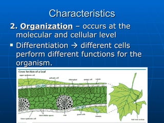 Characteristics of living things | PPT