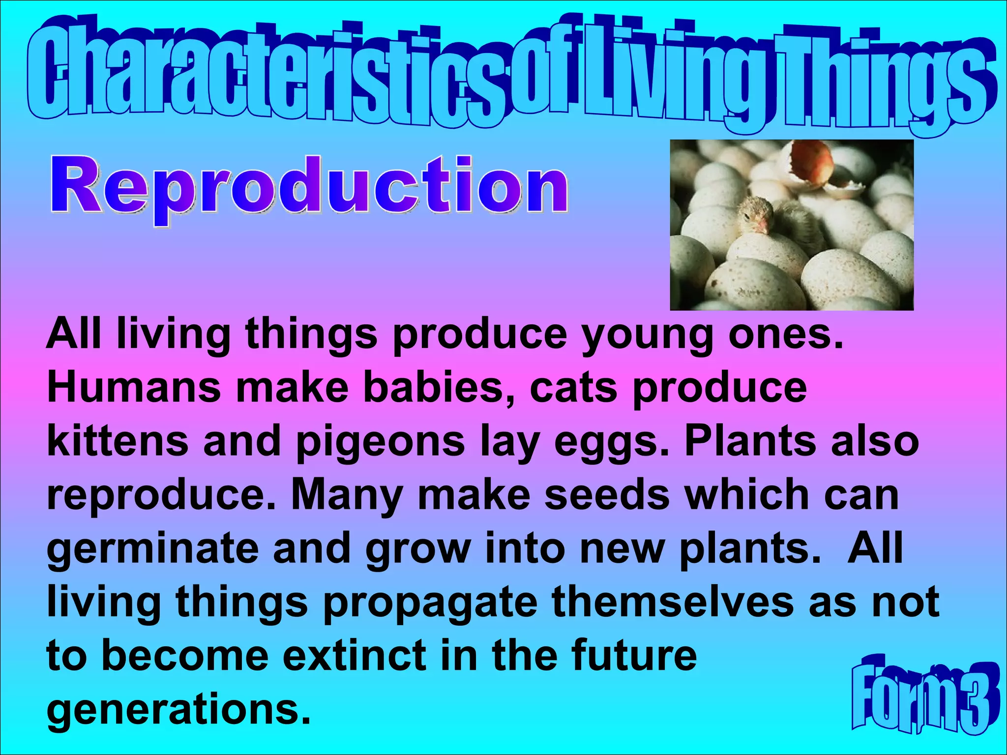 Characteristics of living things | PPT