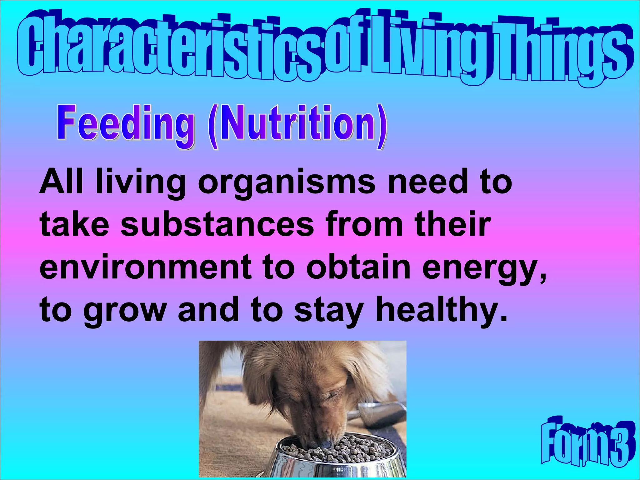 Characteristics of living things | PPT