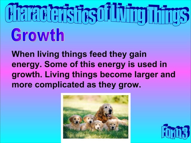 Characteristics of living things | PPT