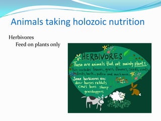 Characteristics of living things | PPT