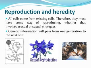 Characteristics of living things | PPT