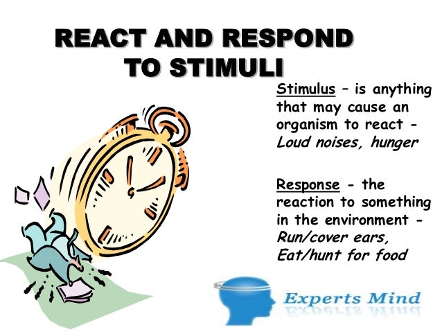 Characteristics of living things