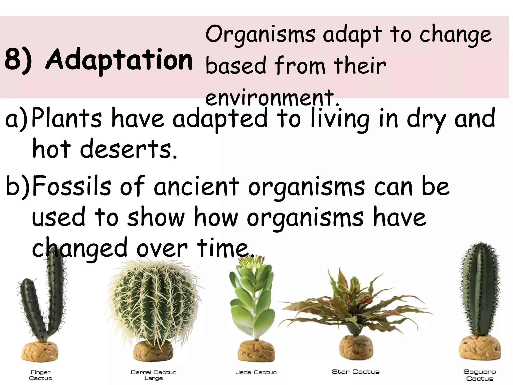 Characteristics of living things | PPT